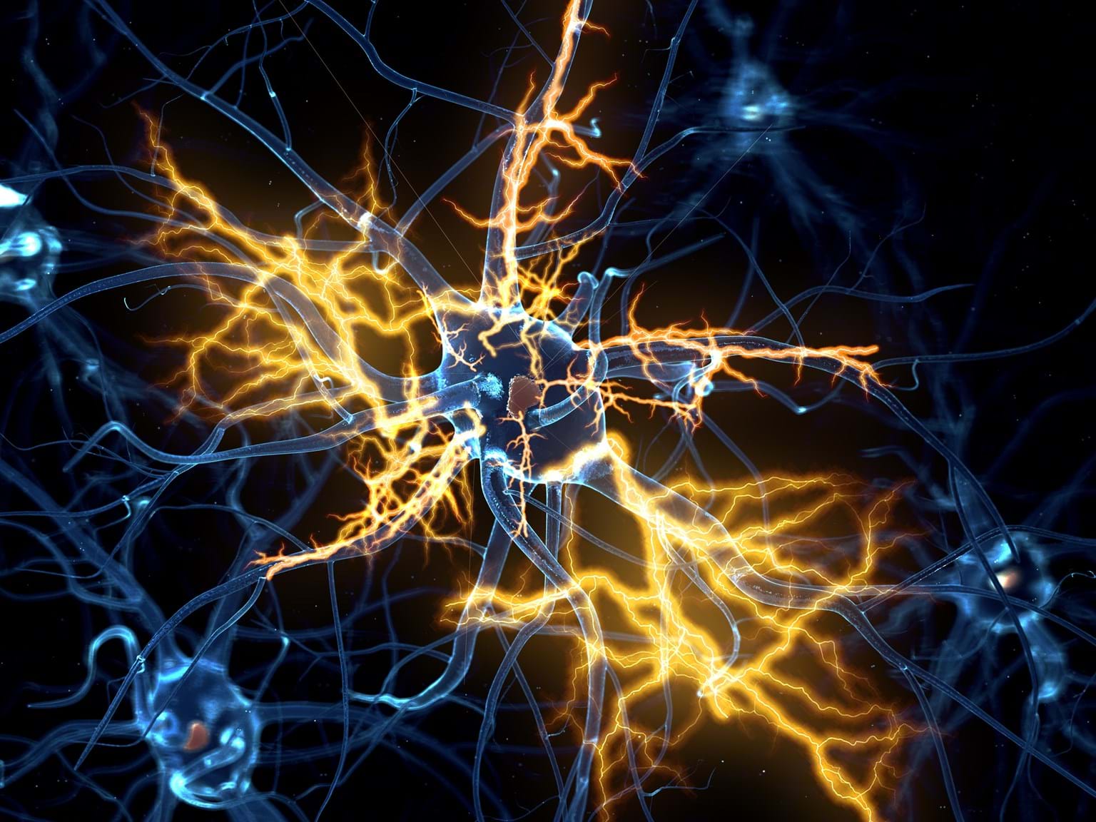 Neuropathic (Nerve) Pain - Painaustralia Neuropathic (Nerve) Pain - Painaustralia