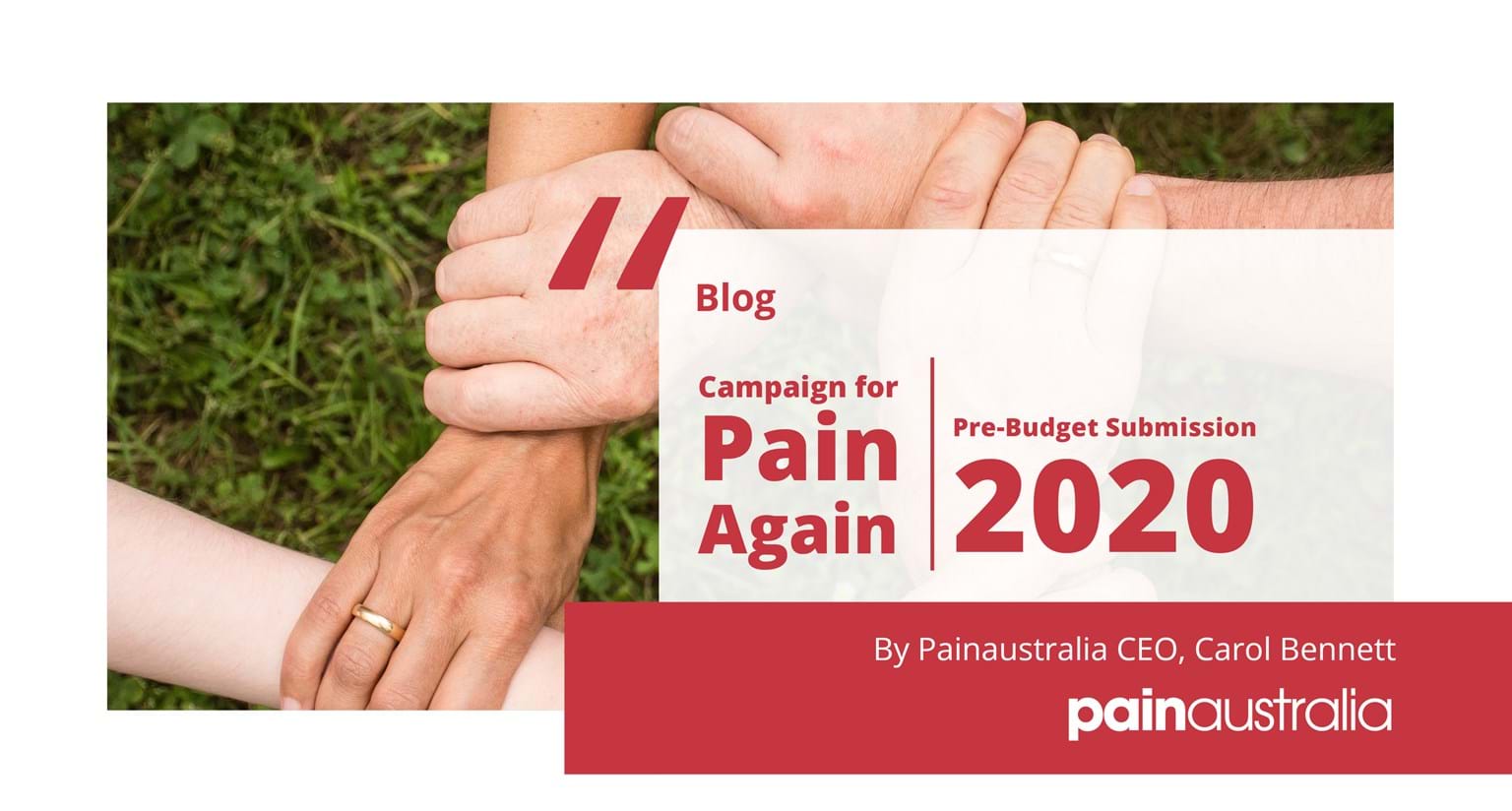 Campaign for Pain, Again Ã¢â‚¬â€œ Pre-Budget Submission 2020 ...